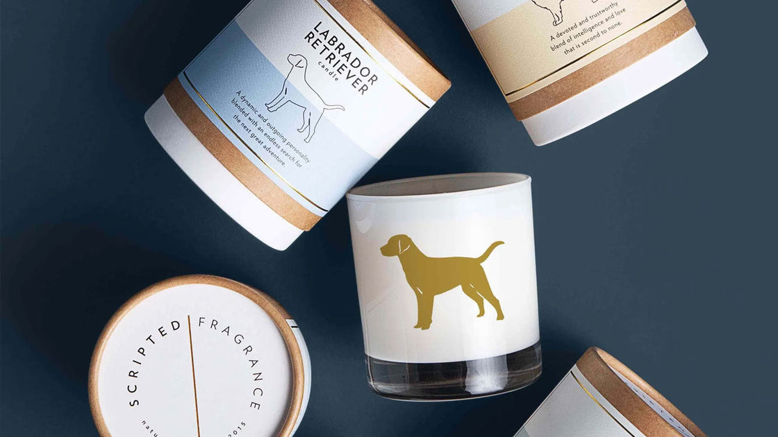 Sponsor Gifting Collection – Tagged "Glassware & Drinkware"– SHOP. at ...