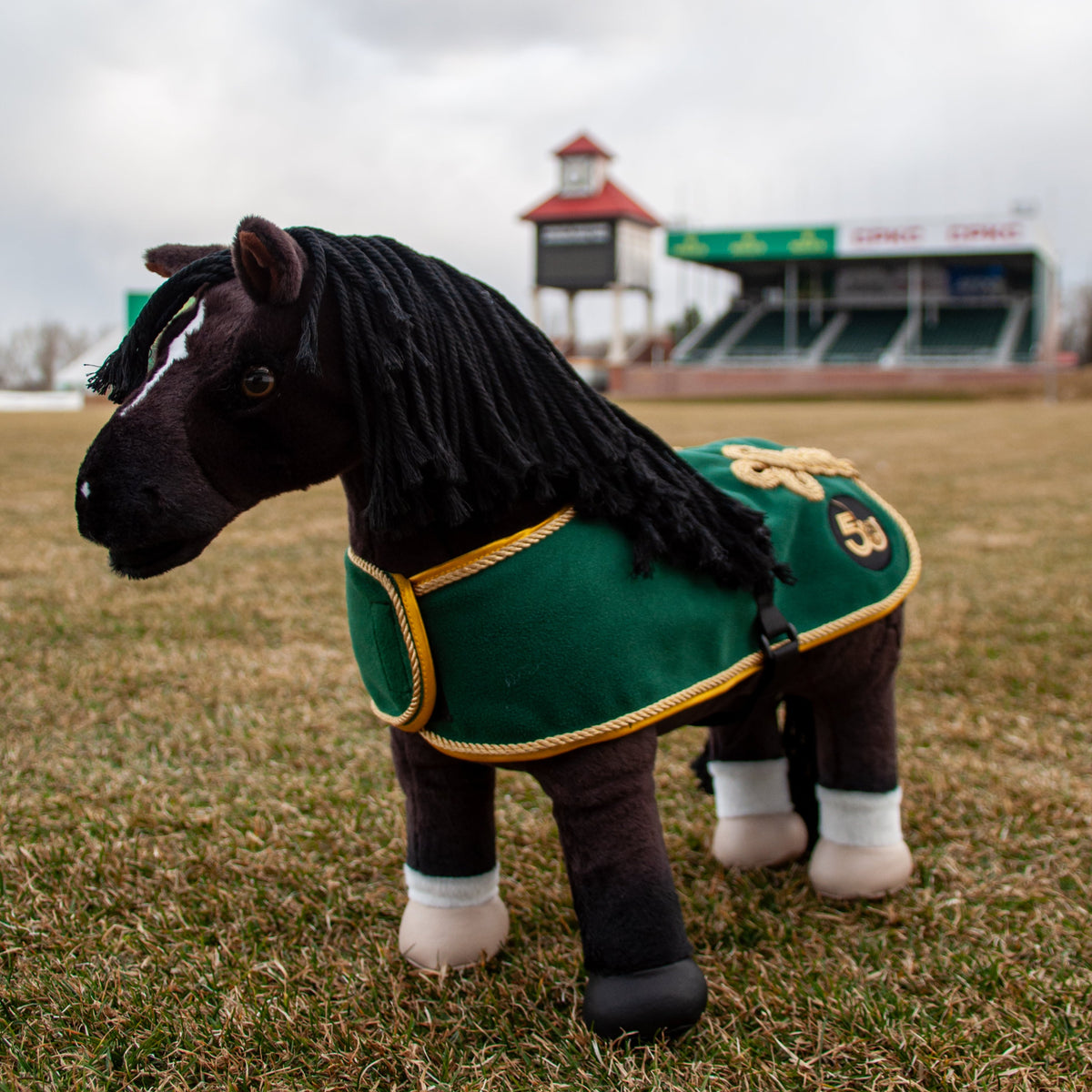 Dynamite - Limited Edition 50th Anniversary Toy Pony – SHOP. at Spruce ...