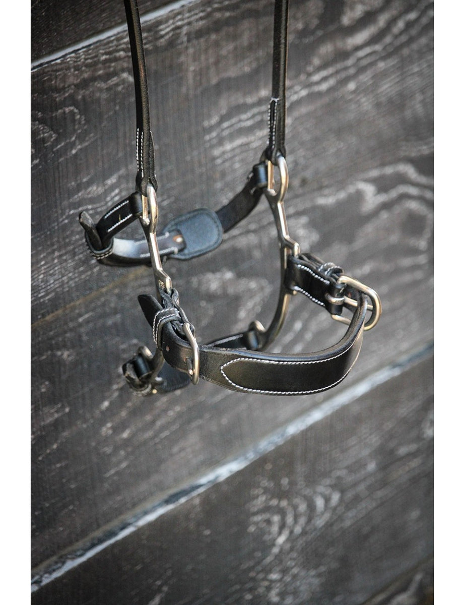 Hackamore Noseband- Week Collection – SHOP. at Spruce Meadows