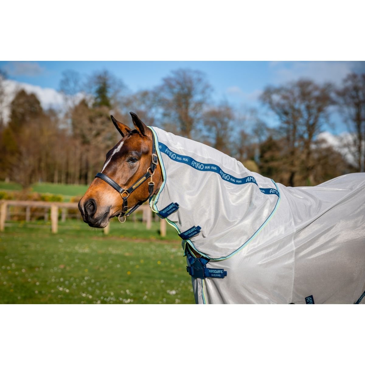 Amigo XL Bug Rug Flysheet – SHOP. at Spruce Meadows