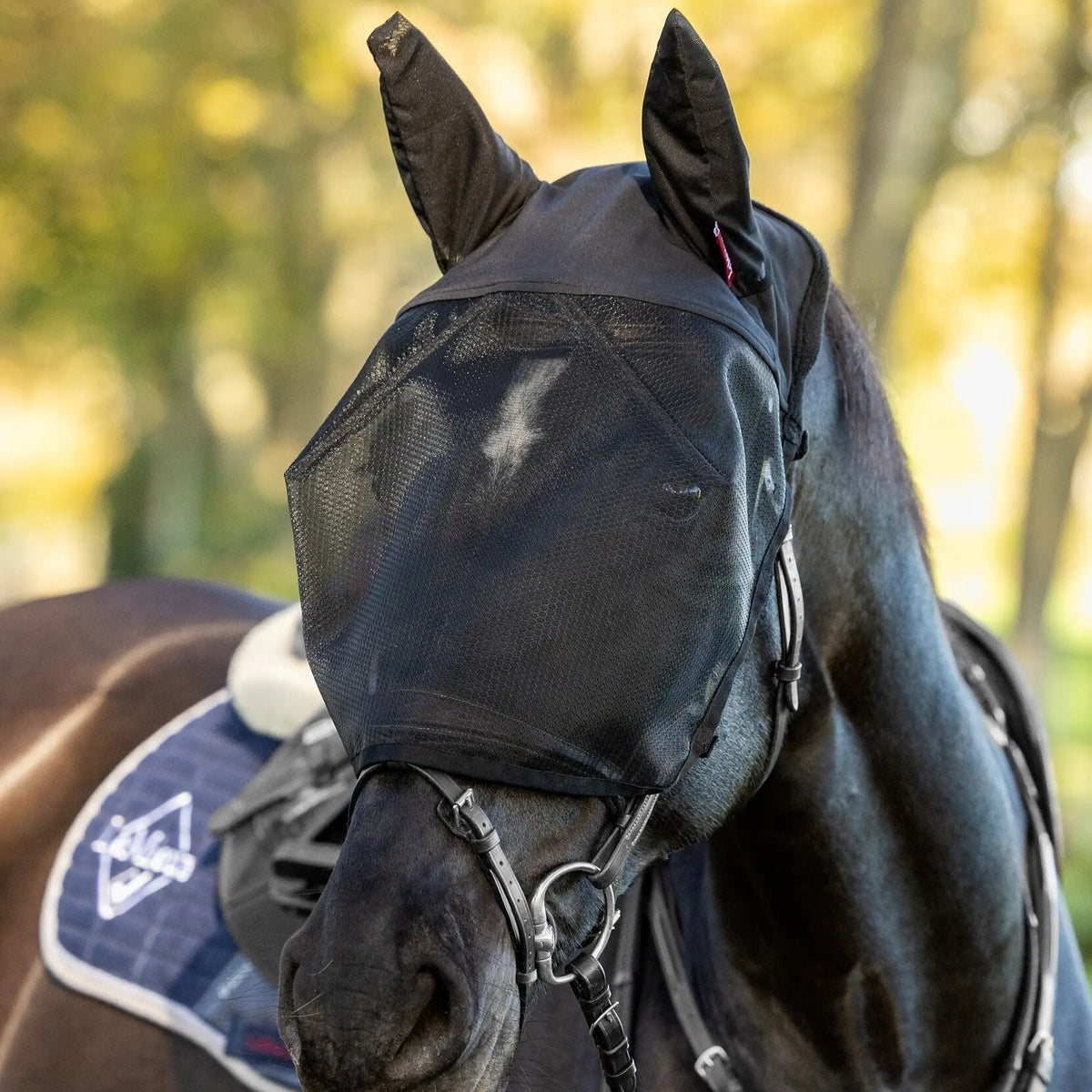 Ride On Fly mask – SHOP. at Spruce Meadows